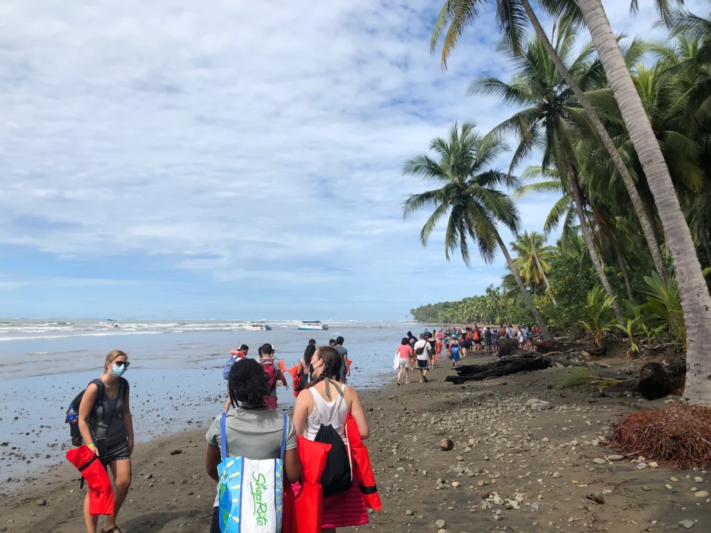 Explore The Best Tours In Costa Rica's National Parks - Ballena Tour ...